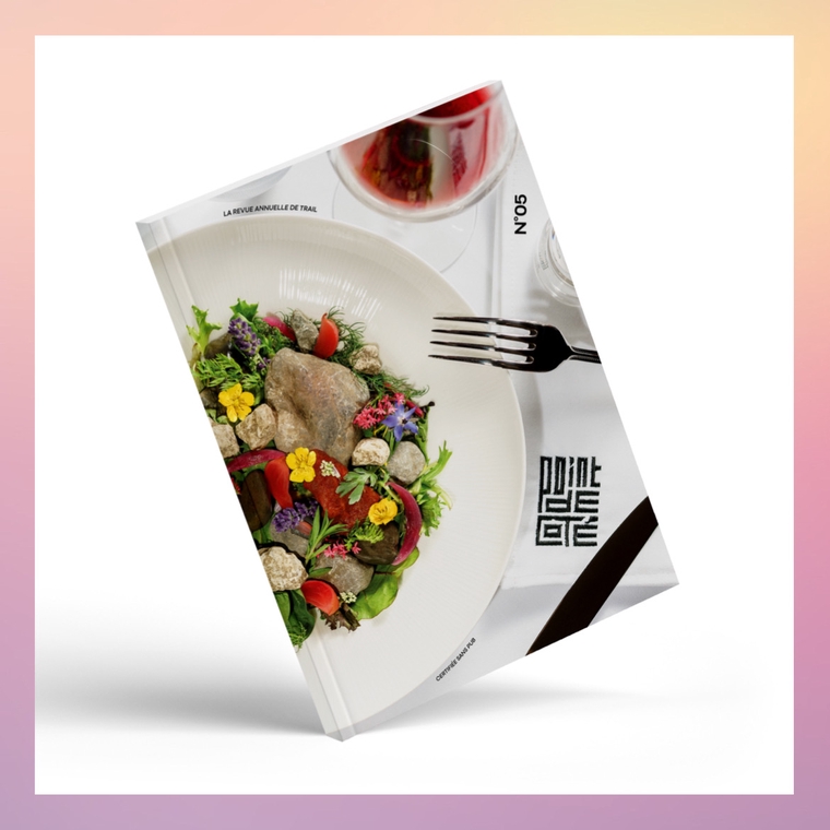 POINT DE CÔTÉ, la revue Les Genoux dans le Gif - Ulule