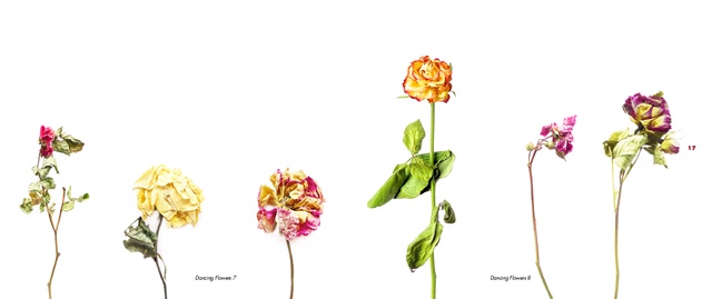 Dancing Flowers - Ulule