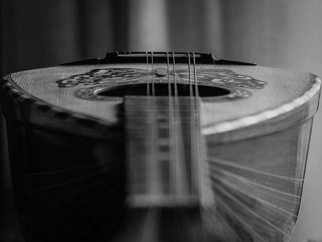 2ème Concours International Mandoline Solo - Ulule