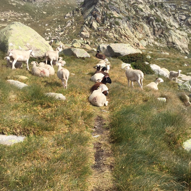 LEHNA - chanson cosmopolite & nomade - Ulule