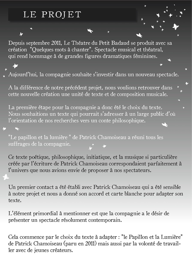 Le Papillon et la Lumière