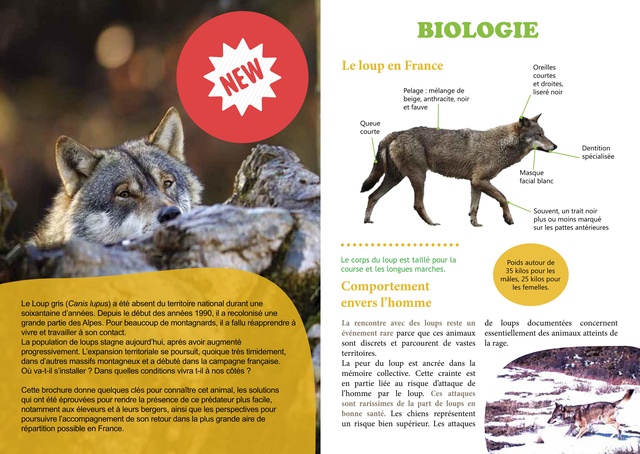 Nouvelle brochure sur le loup en France - Ulule
