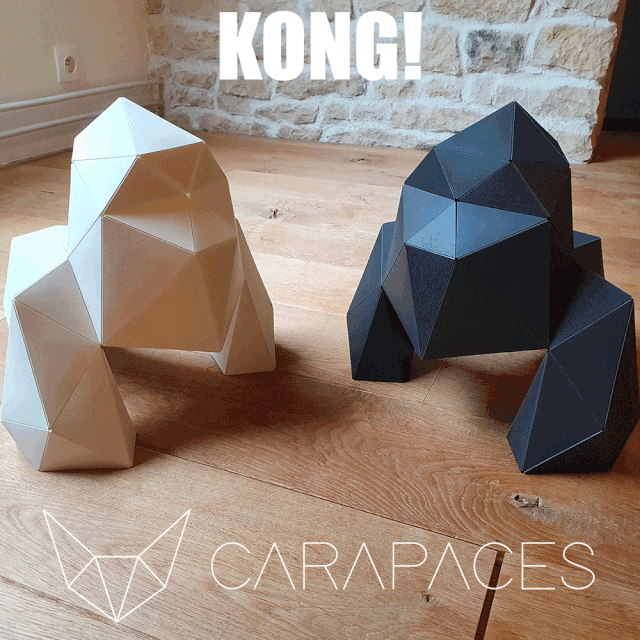 CARAPACES : Origami Sculpture DIY - Ulule