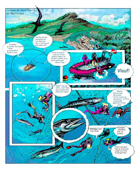 BDVD RORAIMA