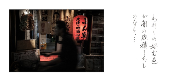 In Praise of Shadows - Eloge de l'Ombre - Ulule