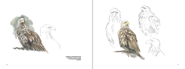 Impressions boréales