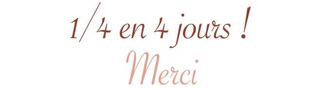 Cam & Léone, la box de nail art facile & moderne - Ulule