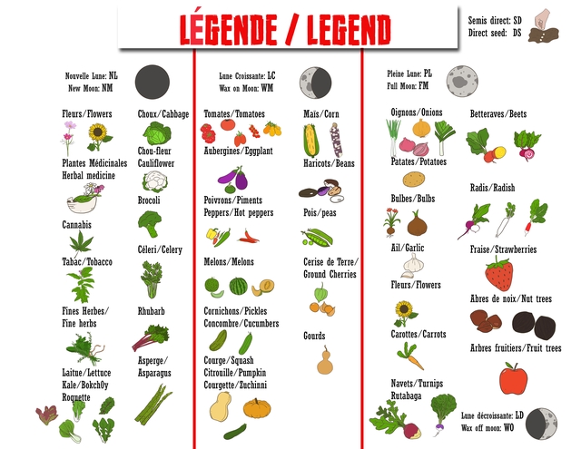 Seeds for a greenhouse