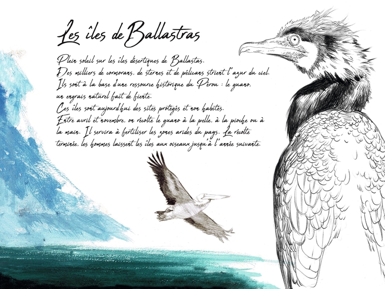 Carnet de voyage - Ulule