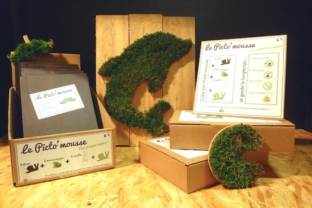 PICTO'MOUSSE du vert même en hiver