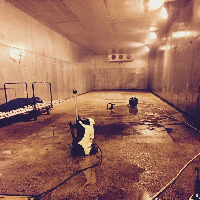 ELECTRIC EEL STUDIO - Ulule