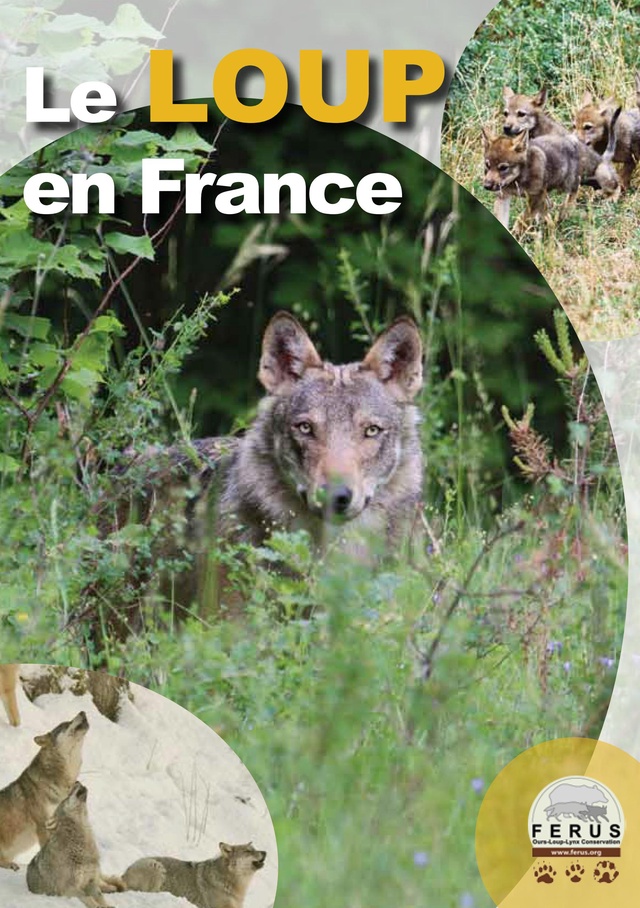 Nouvelle brochure sur le loup en France - Ulule