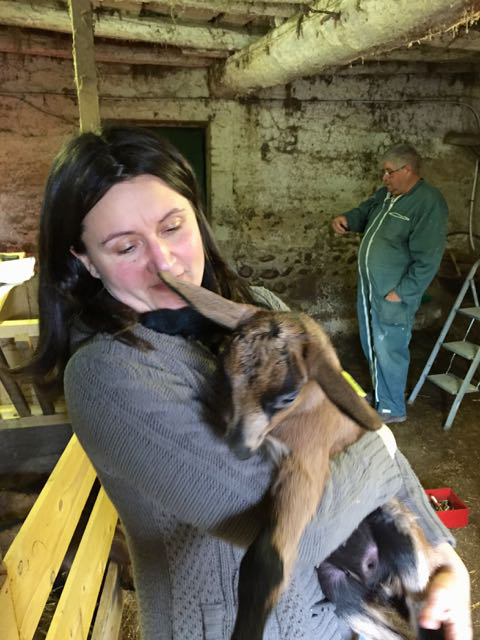 Les biquettes des Valaises - Ulule