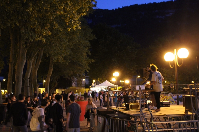 Soundsystem de Radical Steppa