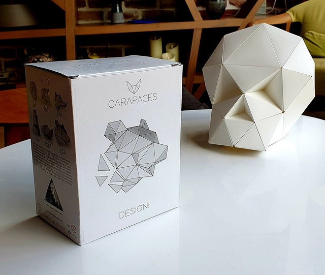 CARAPACES : Origami Sculpture DIY - Ulule