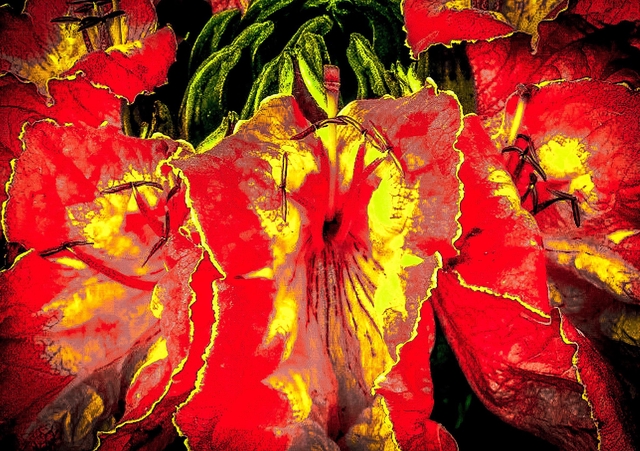 DEUX LIGNES DE PIMENT