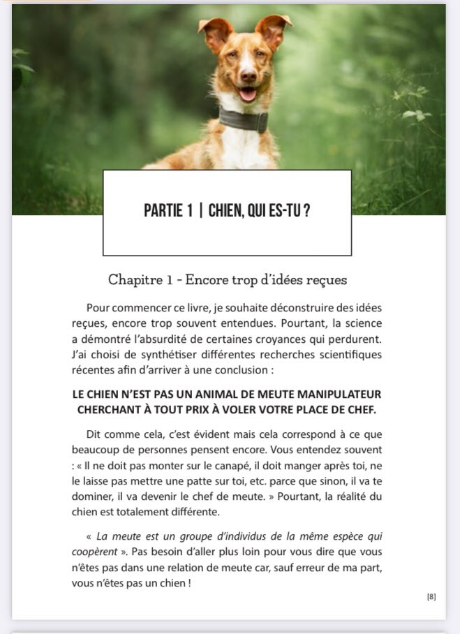 L'adoption d'un chien : Les clefs de l'équilibre