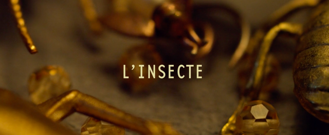 "L'insecte" - Ulule