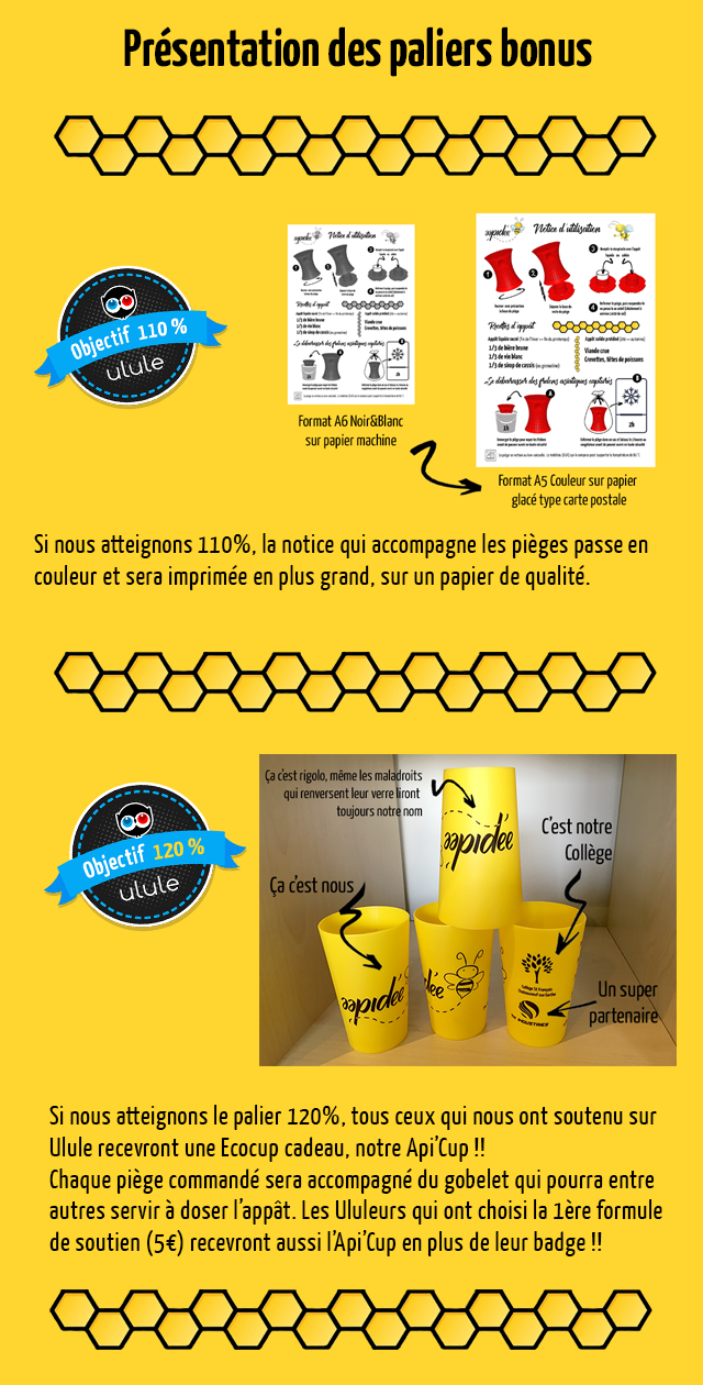 Asian Hornet Trap - Ulule