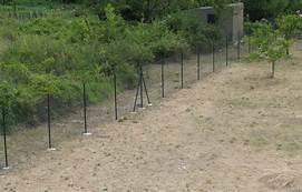 AIDONS LES ENFANTS TRISOMIQUE AU SENEGAL