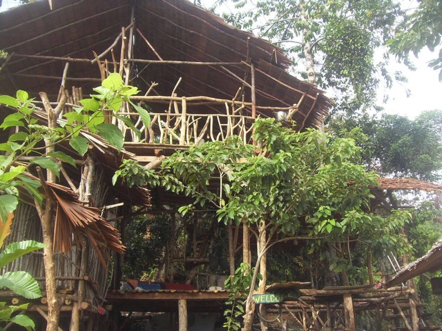 Trash / Tree houses - Ulule