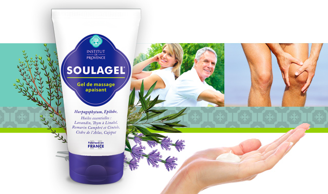 Institut de Provence