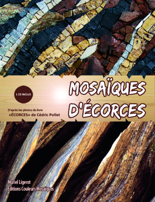 Mosaïque contemporaine - Ulule