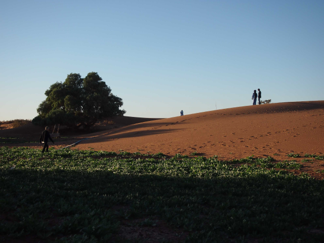 Chantier jeune et solidaire au Maroc - Ulule