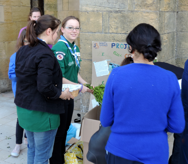 Des compagnons aux Comores! - Ulule