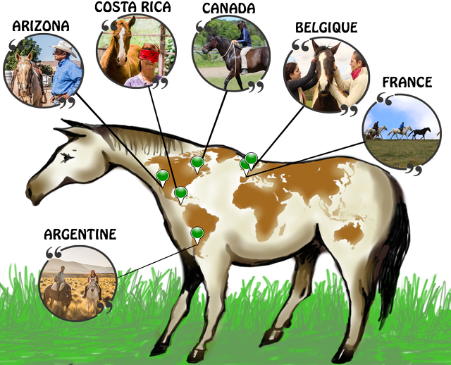 "Sans attache", des chevaux et des humains libérés - Ulule