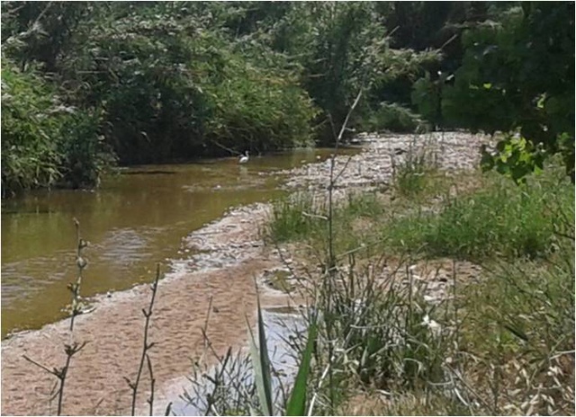 Save the Great Rafina River - Ulule