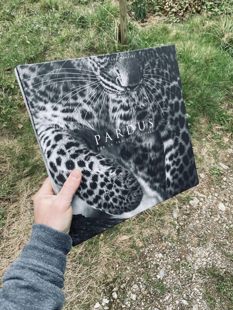 PARDUS - sur la trace du leopard - Ulule