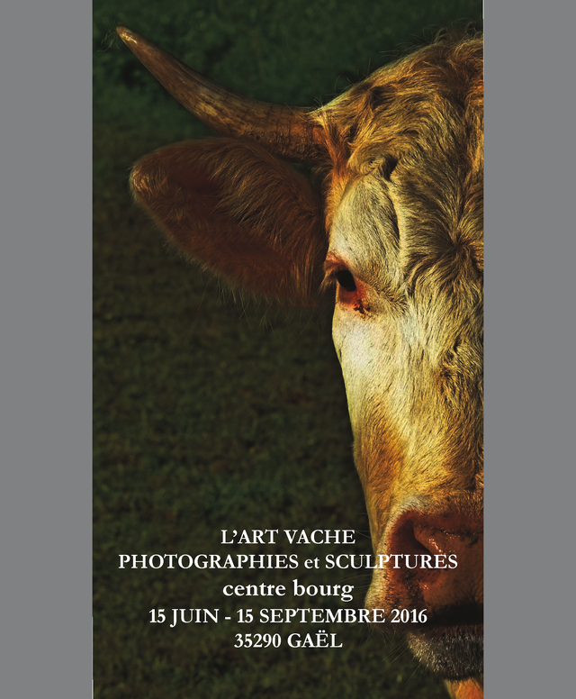 l'art vache - Ulule