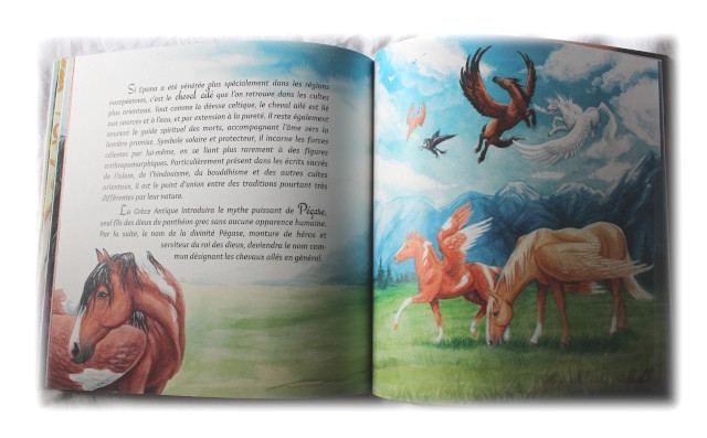 Cheval, merveilleux Cheval