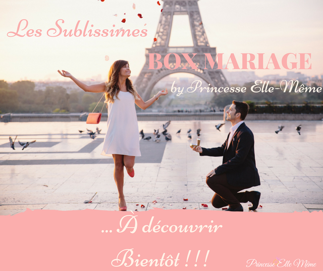 Les Box Mariage Princesse Elle Même - Ulule