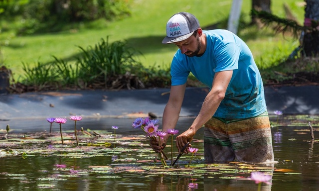 QUAND JE SERAI GRAND... - Ulule