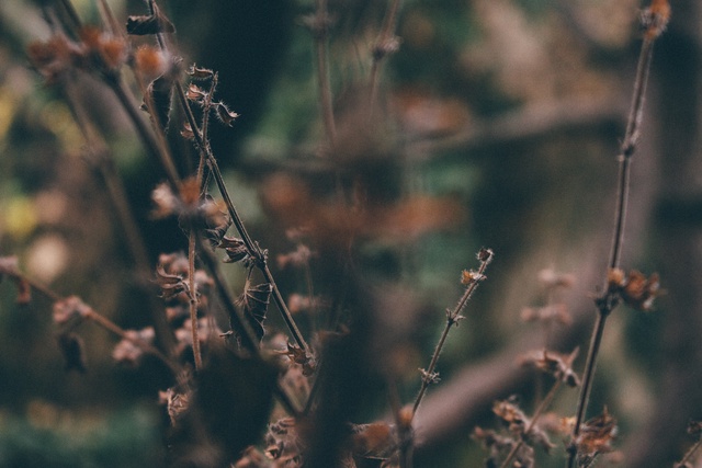 L'impermanence