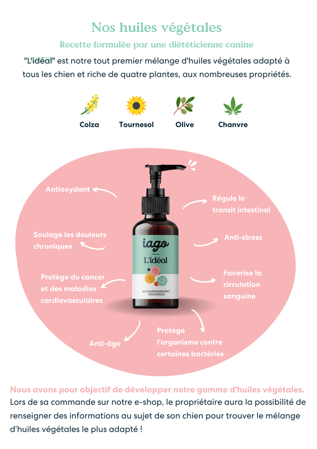 iago - Le repas sain pour les chiens