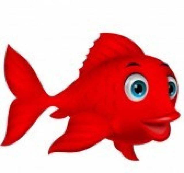 Les Petits Poissons Rouges - Dépôt-vente pour enfants - Ulule