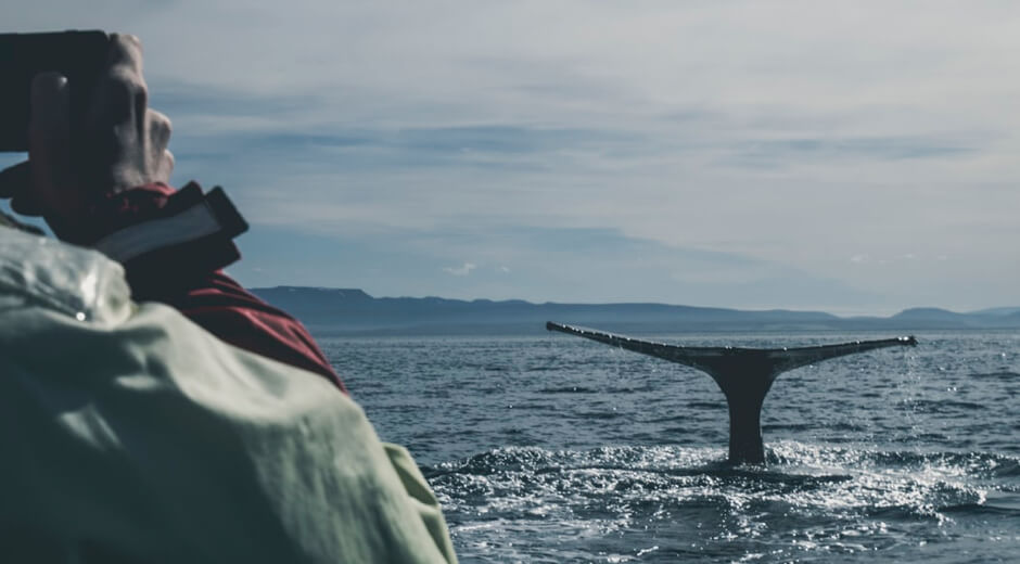 Save the seas - Ulule