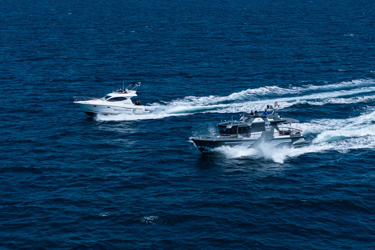 Aidez-nous à sauver l'Orque Ibérique - Ulule