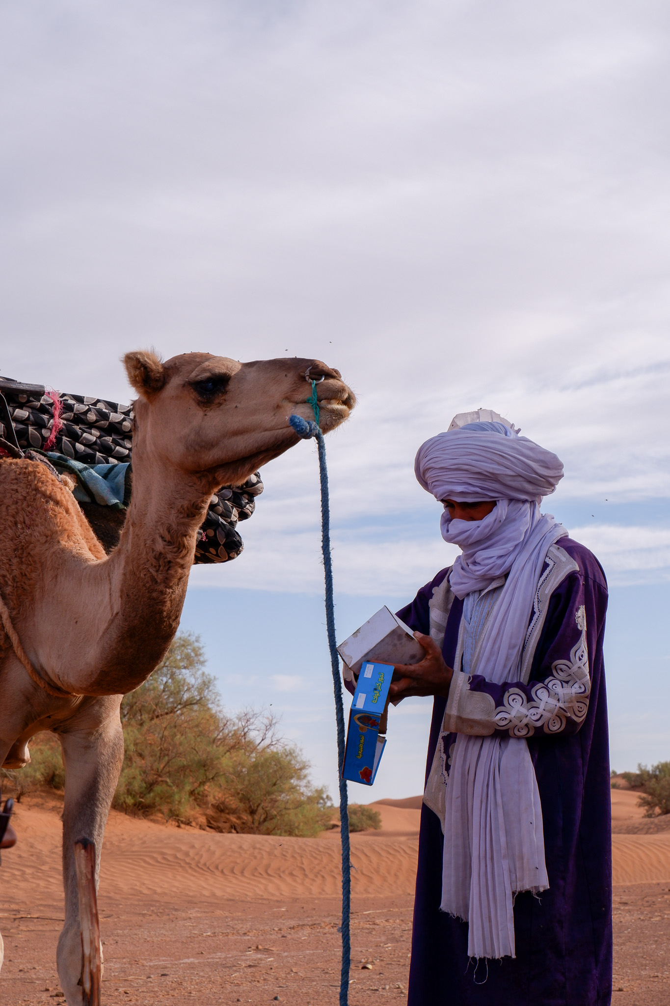 De la ville au désert - Livret photos