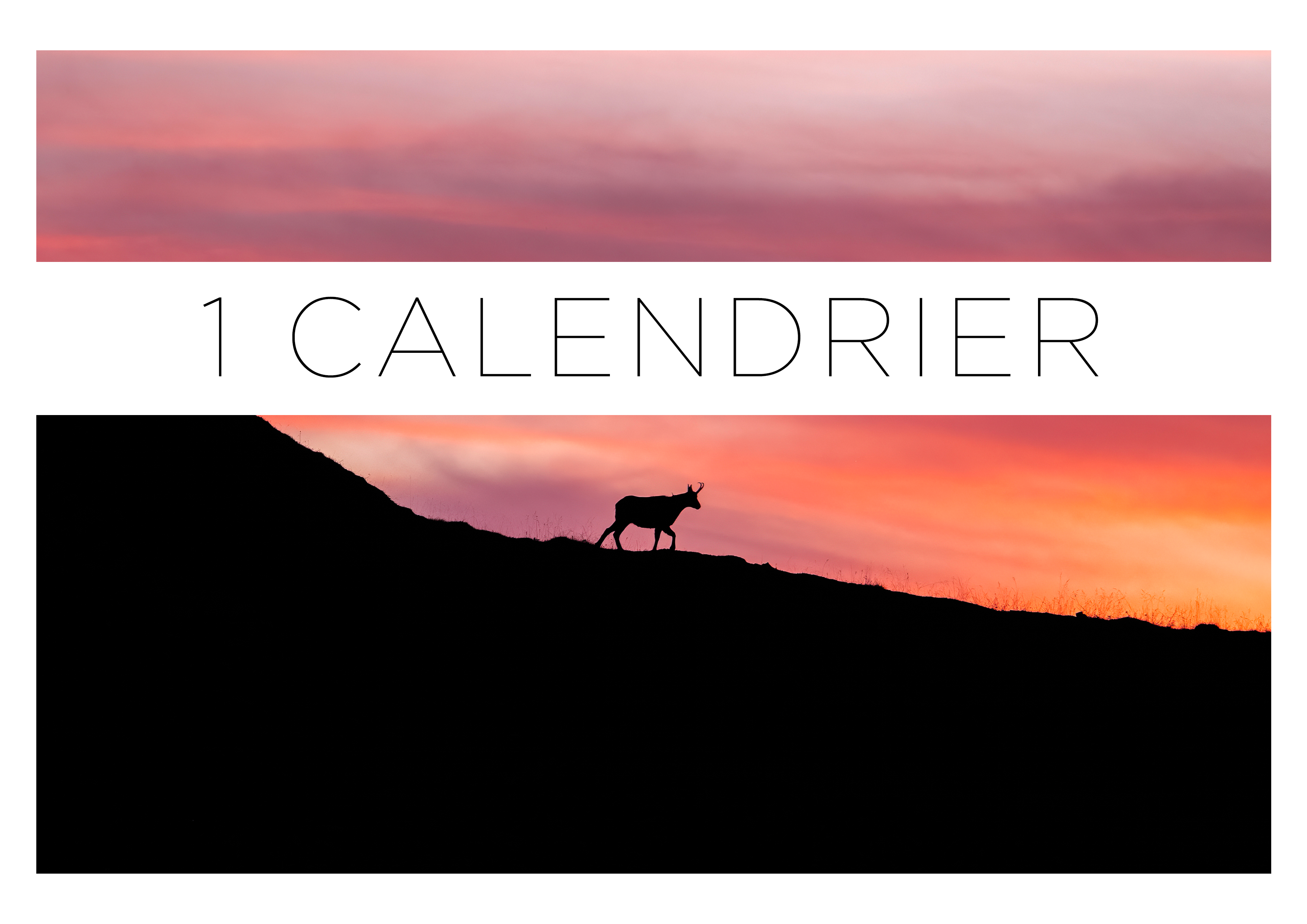 Calendrier animalier 2023 - Ulule