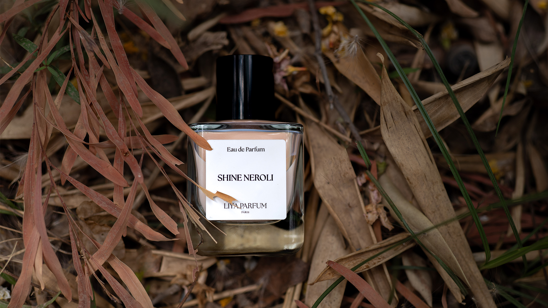 Parfum sans alcool, 100% naturel et éco-responsable - Ulule