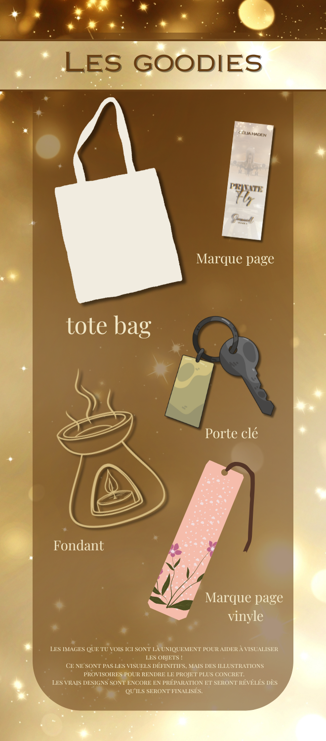 Private Fly - Une romance ennemis to lovers à ne pas manquer