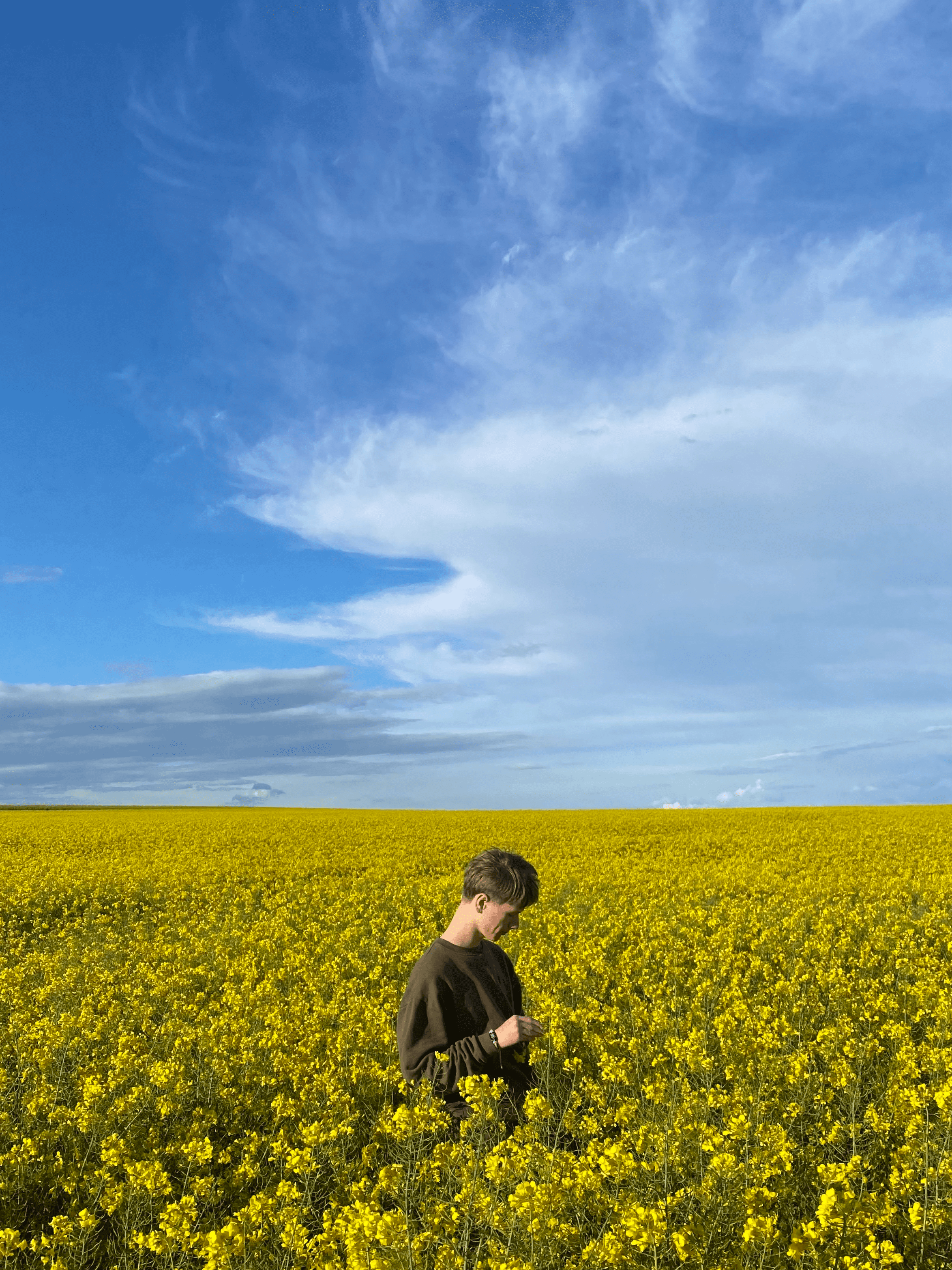 "ATARAXIA" - 1er album - Ulule