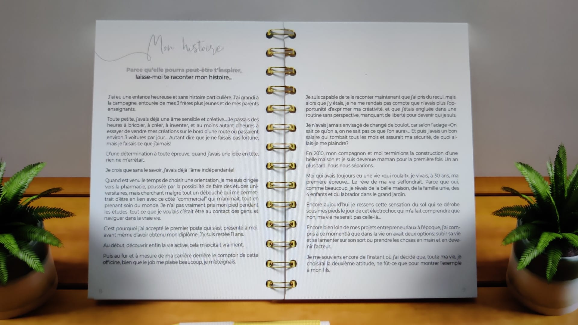 Tout commence par un rêve ... - Ulule