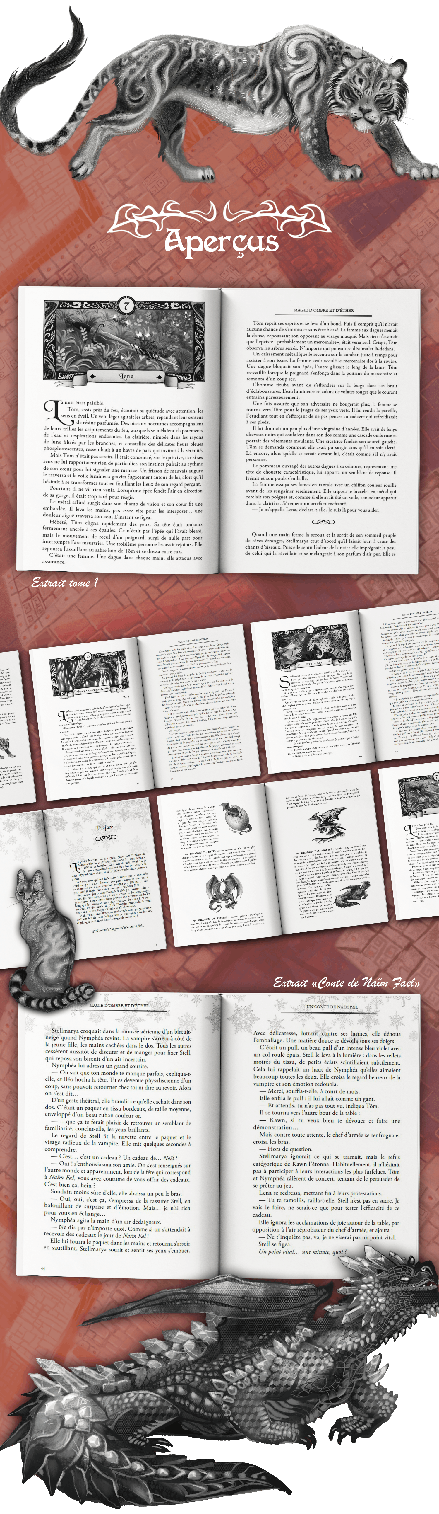 🔮 Magie d'Ombre et d'Éther, les trois premiers tomes🐺 - Ulule