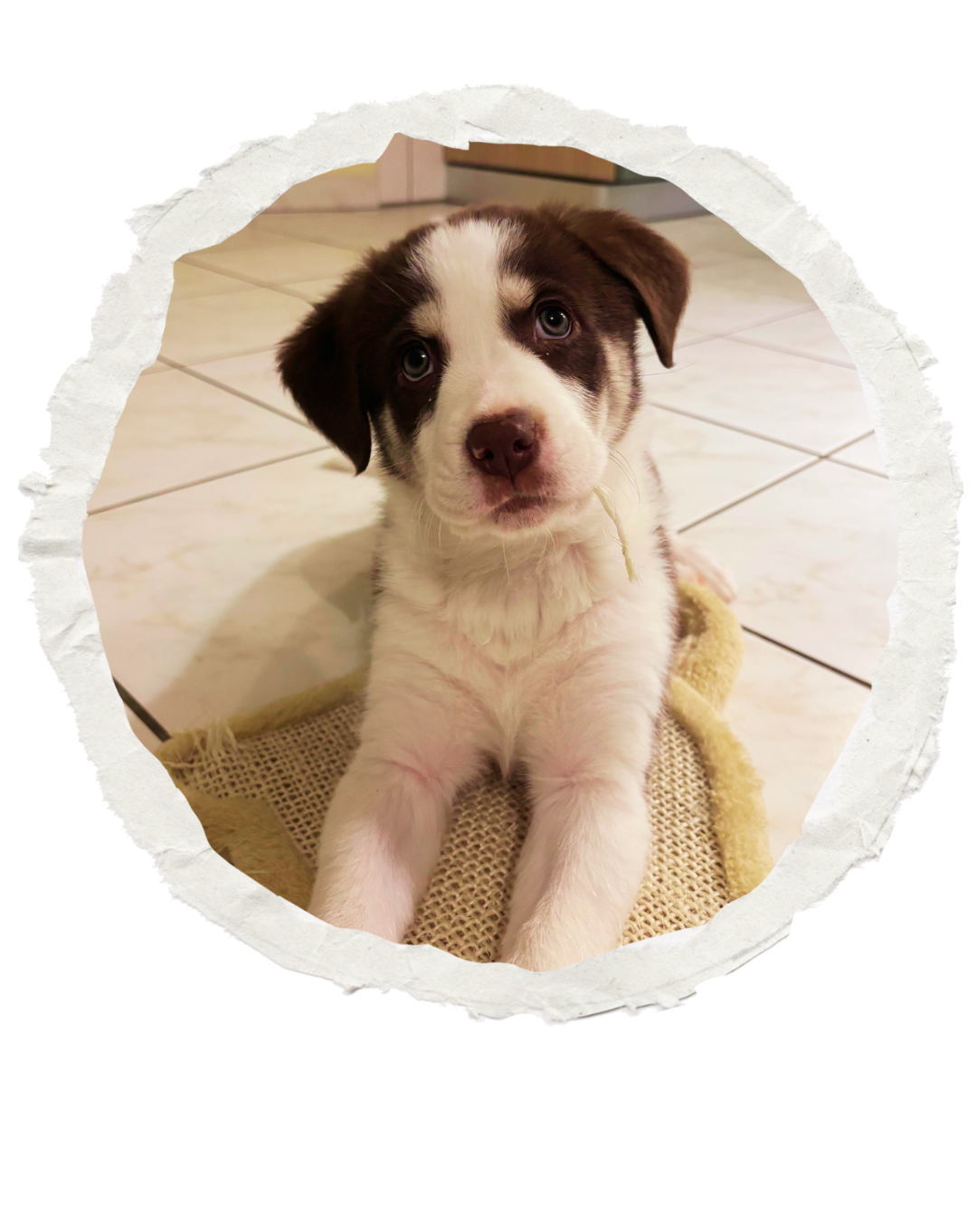 Coaching anti-développement personnel (WTF?) - Ulule