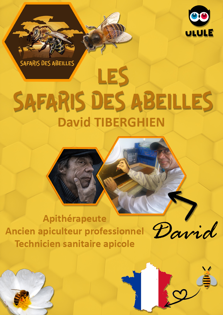 Organiser des Safaris avec des Abeilles - Ulule